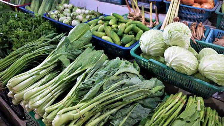 Penting, 5 Tips Memilih Sayuran Segar - Teropong Media