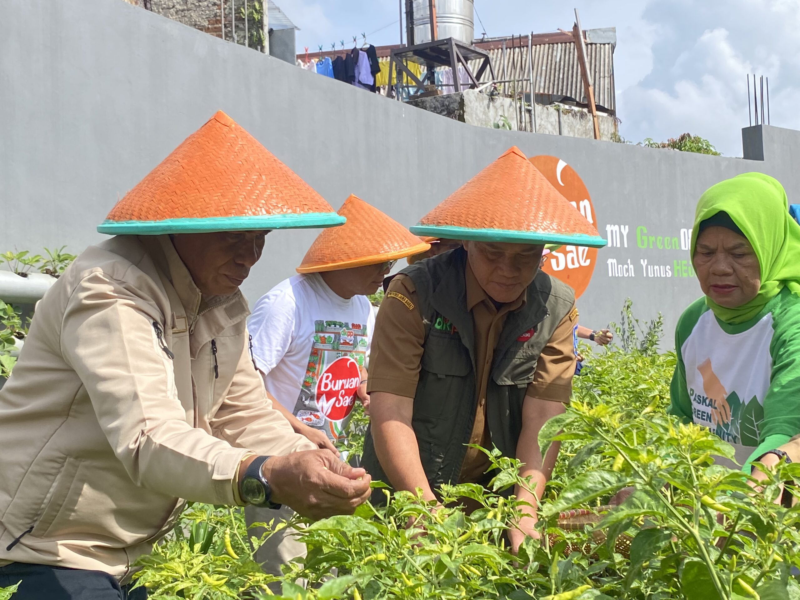 Hasil Keringat Petani di Buruan Sae Terasa, Pemkot Bandung Bilang Apa ...