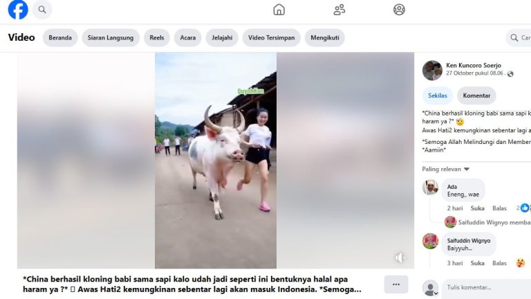 Cek Fakta : Kloning Babi dan Sapi di China? - Teropong Media