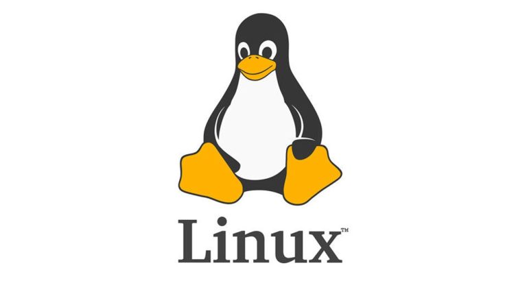 Ternyata Ini Alasan Programmer Menggunakan Linux Ketimbang Windows ...