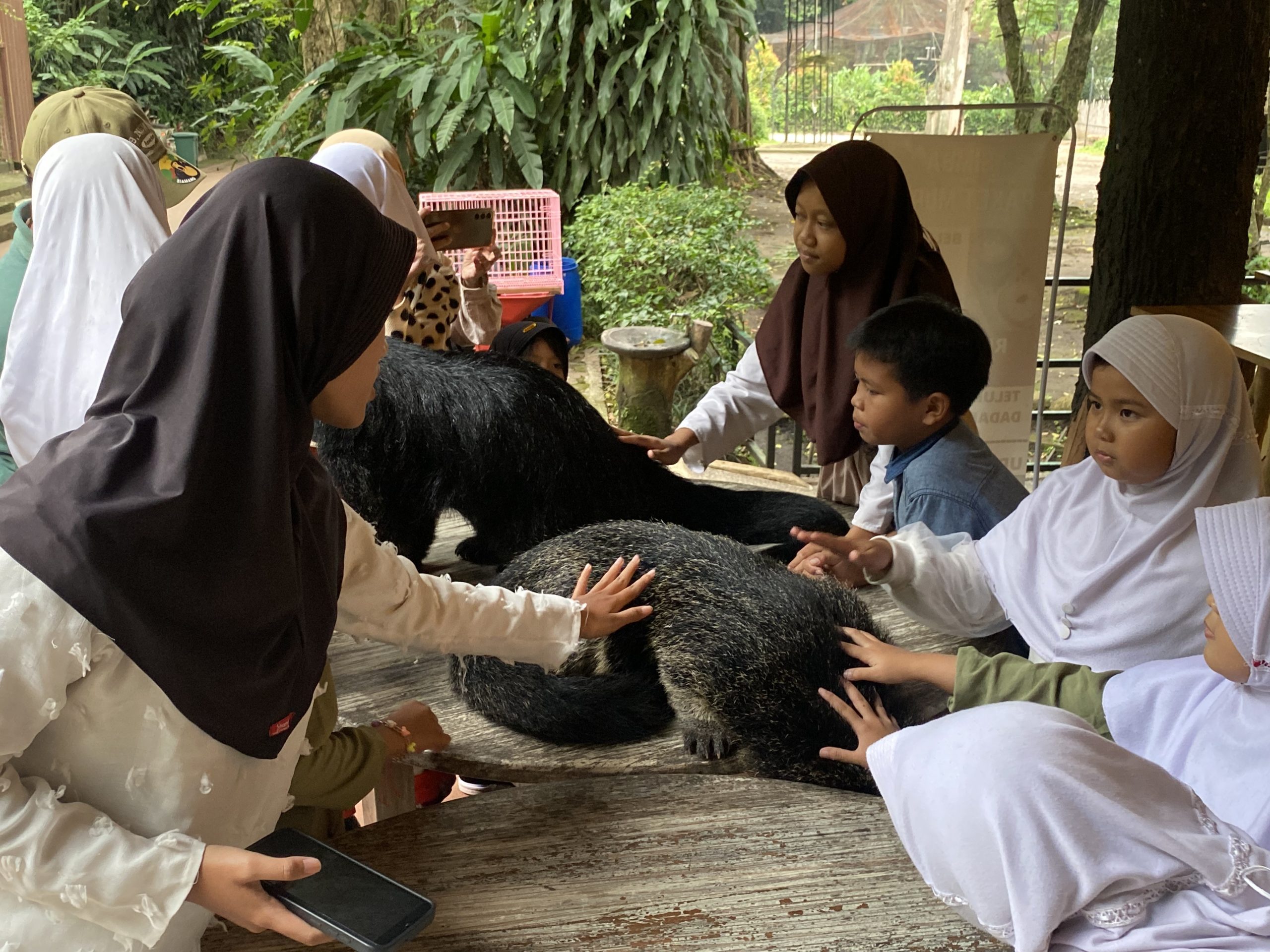 Berkah Ramadan, Pewarta Balaikota Bandung Ajak Puluhan Anak Yatim Keliling Bandung Zoo ...