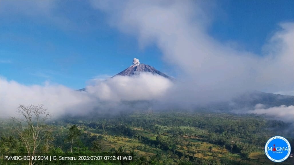 Gunung Semeru Erupsi, Tinggi Letusan 600 Meter - Teropong Media