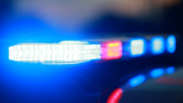 Ramai Desakan 'Stop Tot Tot Wuk Wuk', Istana Buka Suara - Teropong Media