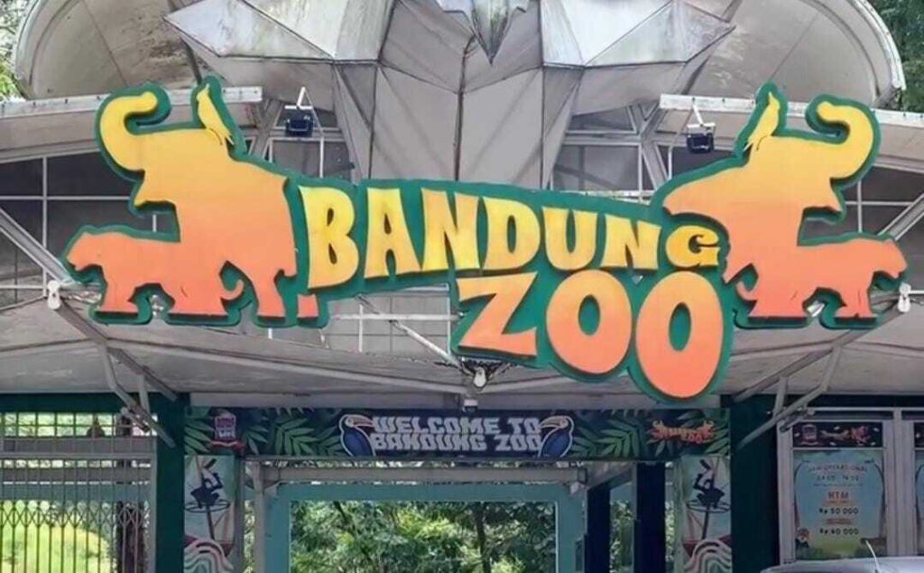 Menanti Nasib Bandung Zoo, Warga Cemas Ikon Bersejarah Kota Bisa ...