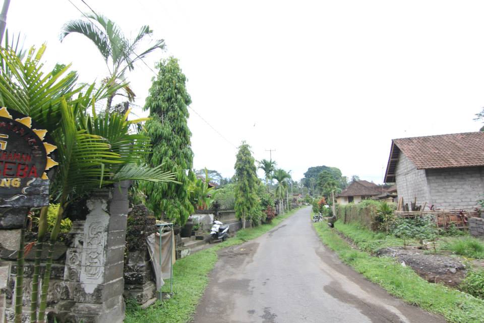 Desa Taro, Jejak Spiritualitas Bali Kuno di Tengah Alam Tegallalang ...