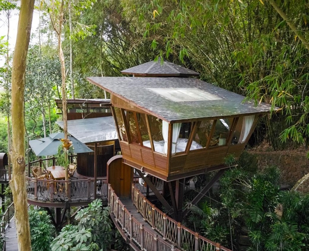 Enchanted Forest at Chanaya: Menikmati Hutan Ajaib dan Pengalaman ...