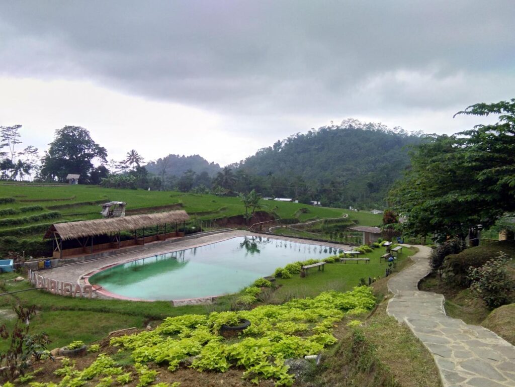Desa Wisata Melung Juara Nasional 2025, Kolam Tengah Sawah Jadi Daya ...