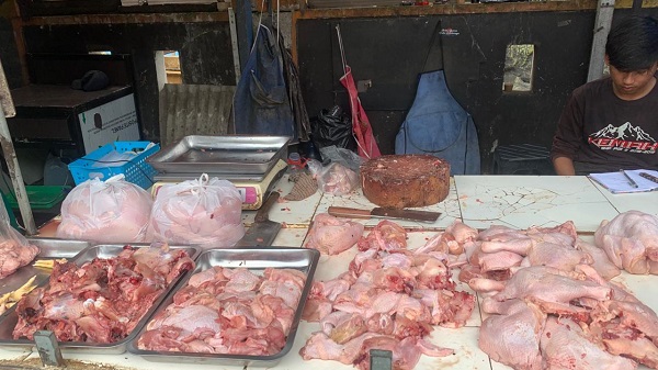Harga Ayam Potong Meroket Rp45.000 per Ekor Jelang Ramadan 2026 ...